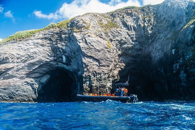 Boat Tour: Caves & Cliffs Tour on the Wild North Coast - Key Points