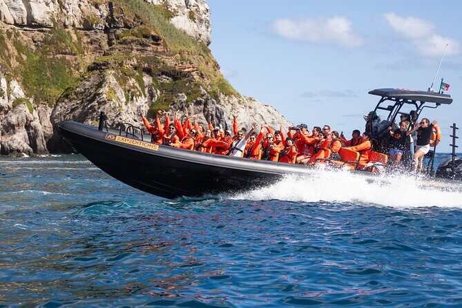 Boat Tour: Caves & Cliffs Tour on the Wild North Coast - Is This Tour Right for You?