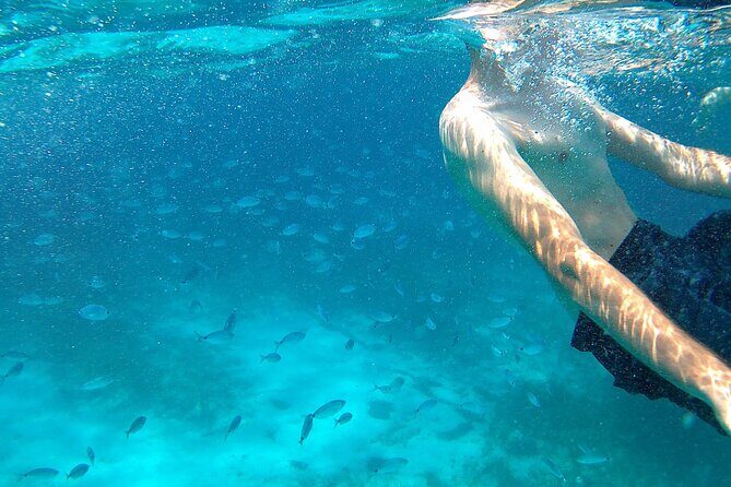 Boat tour Excursion from Trapani to Favignana and Levanzo 8 hours - Frequently Asked Questions