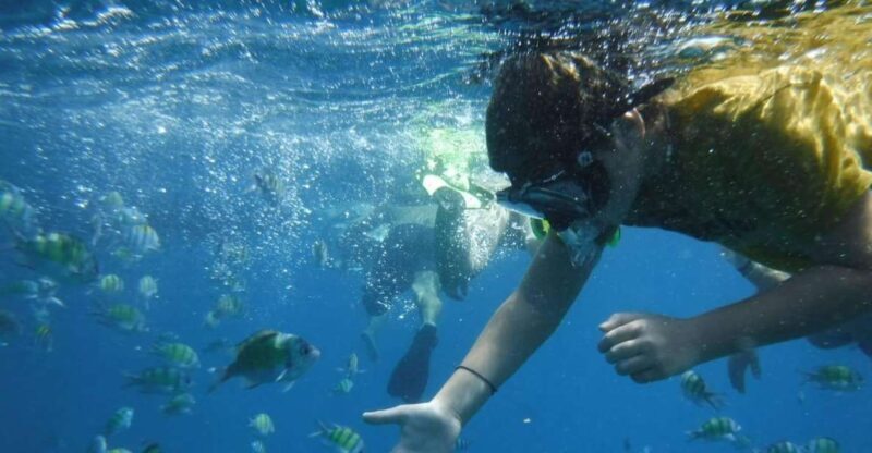 Boat tour from Avola to Portopalo with visit of Marzamemi - Practical Tips & Considerations