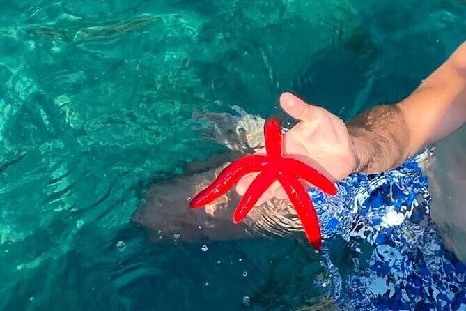 Boat tour Giardini Naxos Taormina Isola Bella Blue Grotto - FAQ