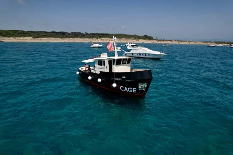 Boat tour Golfo Aranci: Tavolara and Molara Marine Protected Area - Key Points