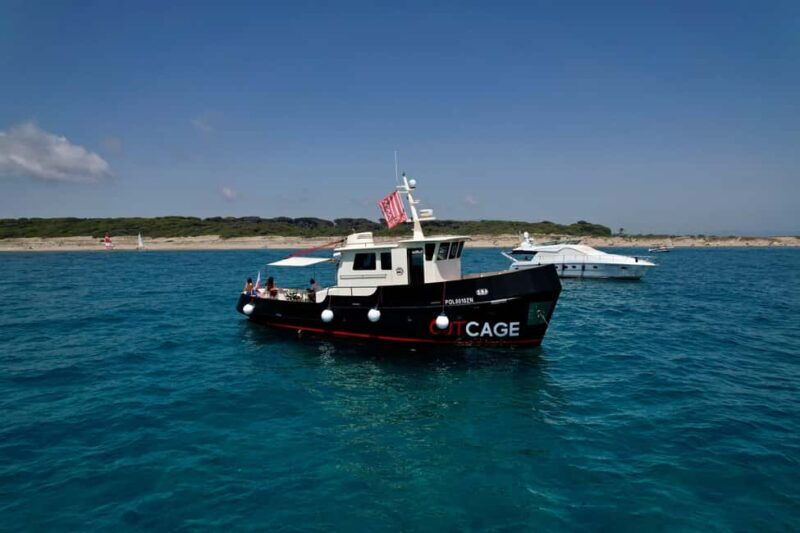 Boat tour Golfo Aranci: Tavolara and Molara Marine Protected Area - Discovering Sardinia from the Water