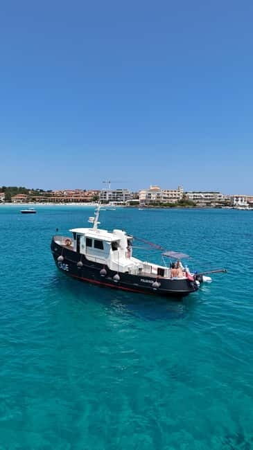 Boat tour Golfo Aranci: Tavolara and Molara Marine Protected Area - Who Will Love This Tour?
