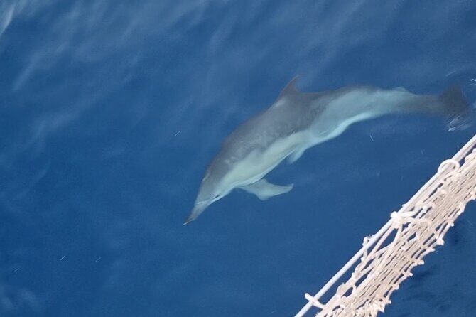 Boat tour in Palermo east - Excursion with aperitif - Who Should Consider This Tour?