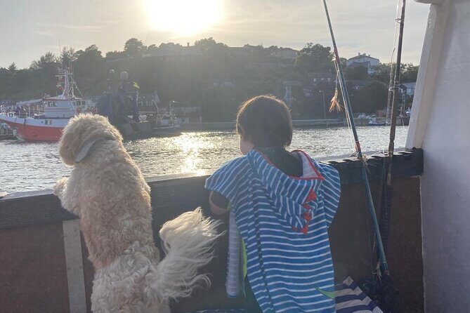 Boat Tour of Kinsale Harbour and Bandon River - The Sum Up  