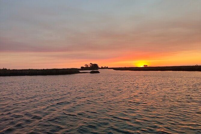 Boat tour of the highlights of the Ria - Key Points