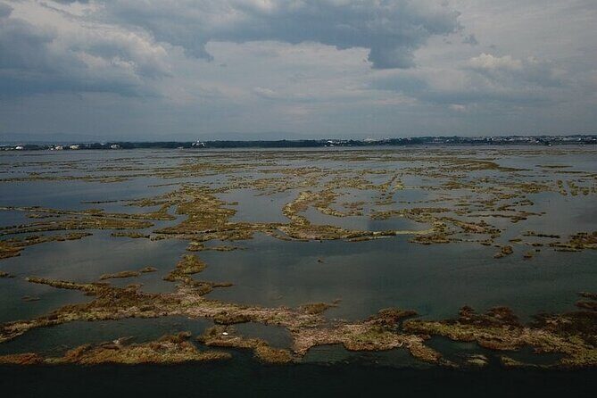 Boat tour of the highlights of the Ria - FAQ