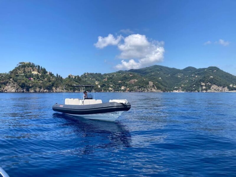 Boat tour of the Portofino Promontory and San Fruttuoso - The Experience in Detail: What to Expect