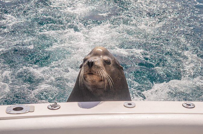Boat Tour Snorkeling Tour with Guide, Drinks and Fruit - Authentic Travel Experience