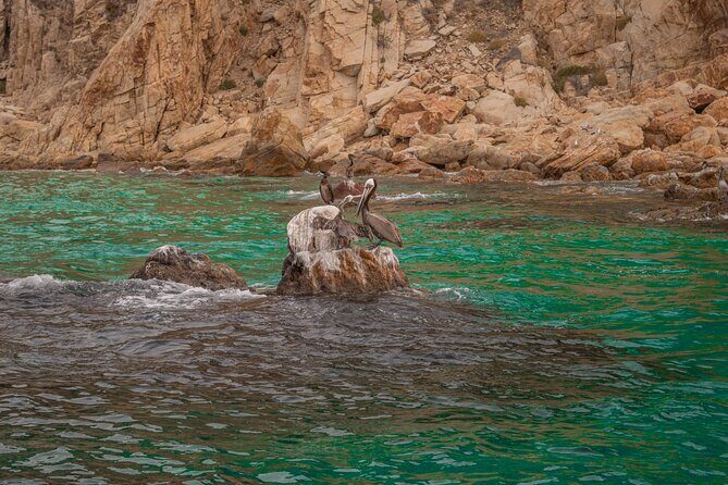 Boat Tour Snorkeling Tour with Guide, Drinks and Fruit - Final Thoughts