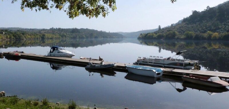Boat Tour SUNTRACKER - Who Will Love This Experience?