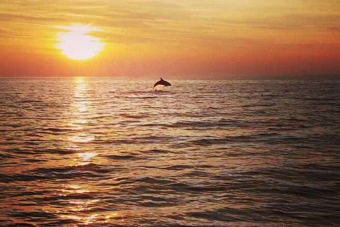 Boat tour swimming snorkeling south Istria Kamenjak Premantura - Final Words