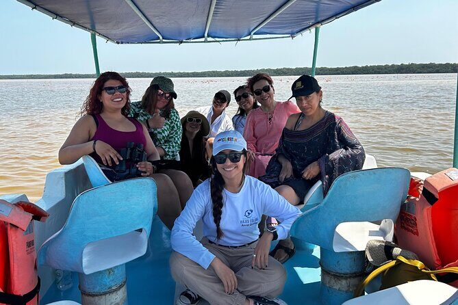 Boat tour through the mangroves of Celestún and Playa from Merida - An In-Depth Look at the Celestún Tour Experience