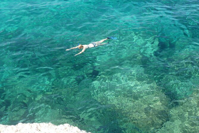 Boat tour to explore the Marine Protected Area of Tavolara - An Honest Look at the Boat Tour to Explore Tavolaras Marine Protected Area