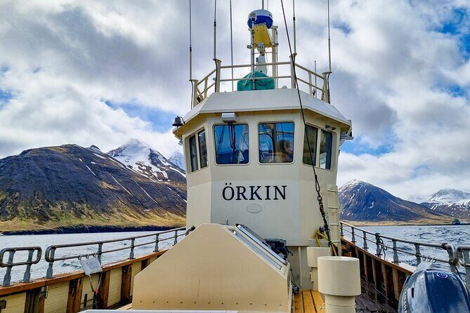 Boat Tours from Siglufjörður - Practical Tips and Considerations