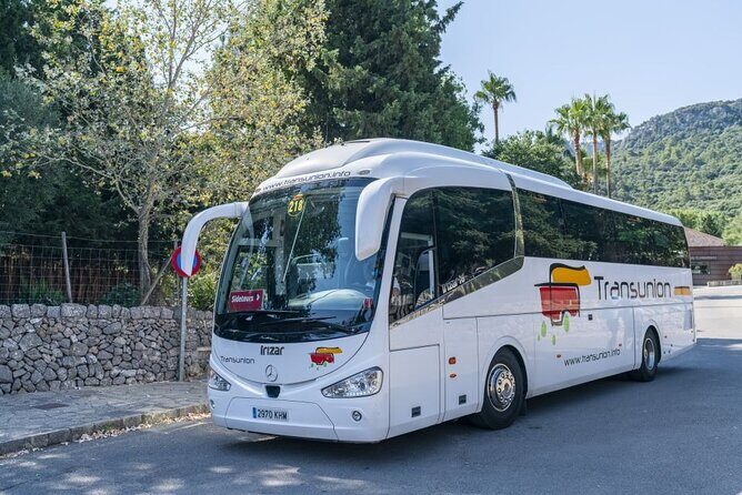 Boat, Tram and Train Tour in Mallorca from the South - Who Is This Tour Best For?