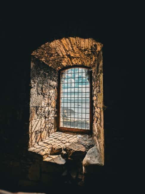 Boat trip and guided tour to Inchcolm Island - Key Points