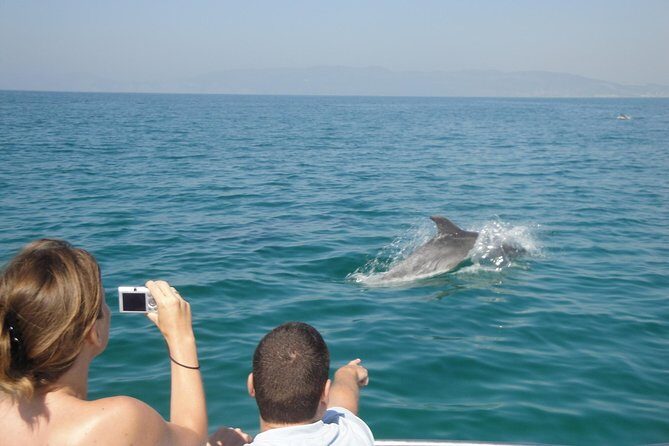 Boat Trip for Dolphin Watching along the Arrabida Coast and Sesimbra - What Reviewers Love About This Tour