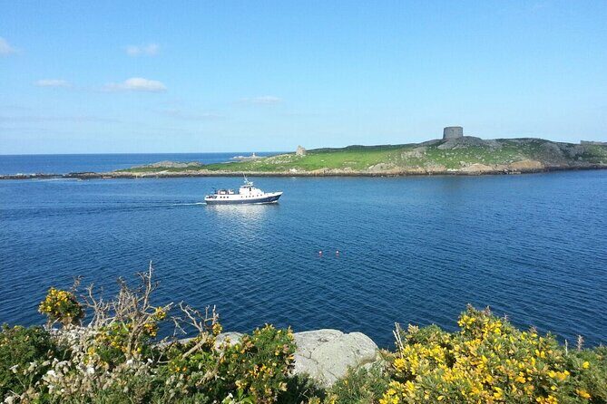 Boat Trip from Howth to Dun Laoghaire - The Experience in Context: What to Expect