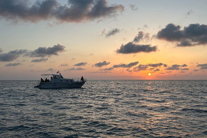 Boat trip Zingaro Nature Reserve - The Itinerary Breakdown: What to Expect