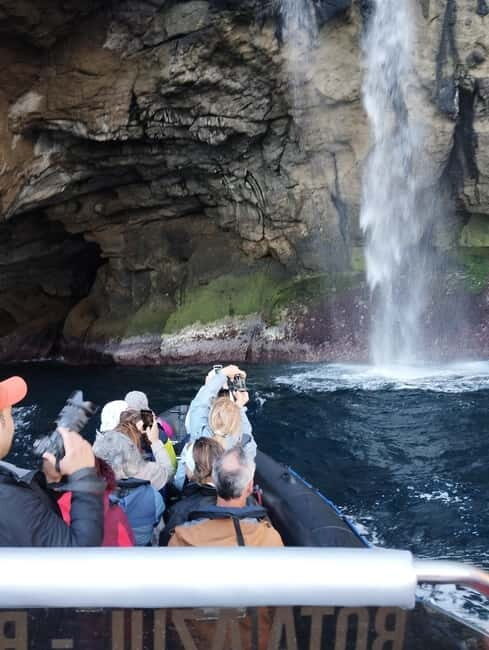 Boat trips to Corvo Island - Final Thoughts