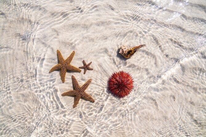 Boca Grande Kayaking Tour - Who Should Consider This Tour?