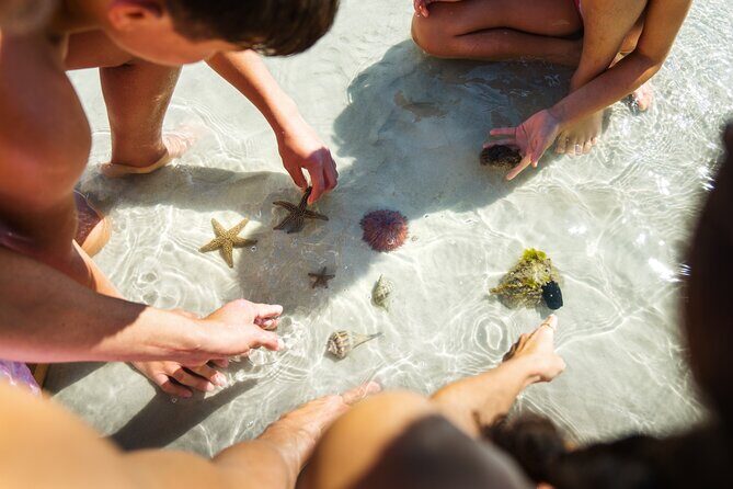 Boca Grande Kayaking Tour - The Sum Up