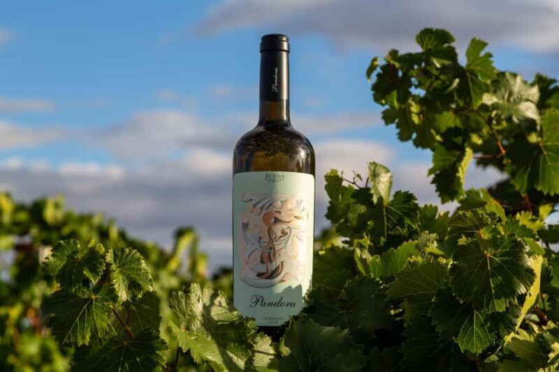 BODEGAS PANDORA: tour through vineyards and winery with wine tasting. - Key Points  