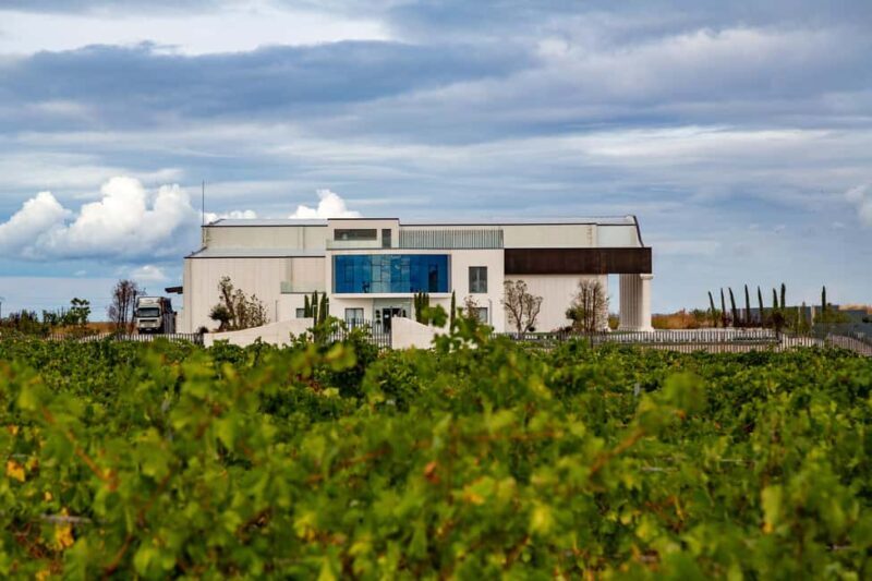 BODEGAS PANDORA: tour through vineyards and winery with wine tasting. - An Honest Look at the Experience  