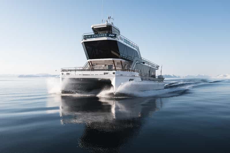 Bodø: Northern Lights Cruise - FAQs