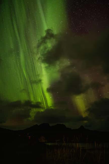 Bodø: Northern Lights safari - Key Points