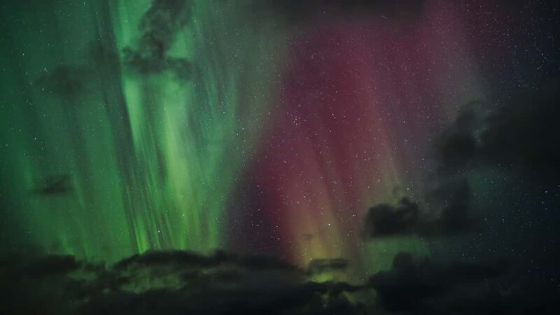 Bodø: Northern Lights safari - What to Expect from the Bodø Northern Lights Safari