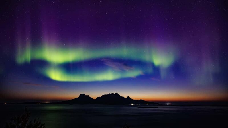 Bodø: Northern Lights safari - The Value of the Tour