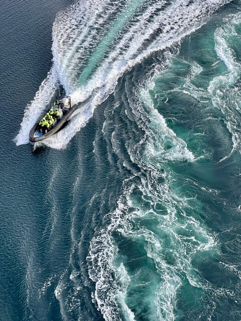 Bodø: Saltstraumen RIB Safari - What Makes the Saltstraumen RIB Safari Stand Out?