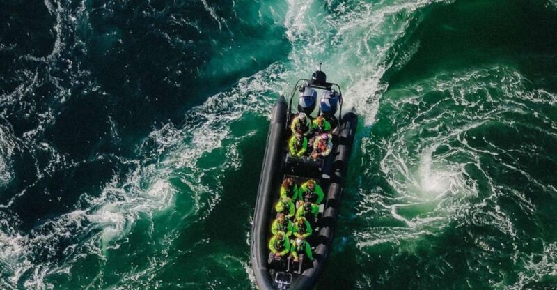 Bodø: Saltstraumen Sea Eagle Trip by RIB - What Makes This Tour Stand Out?  