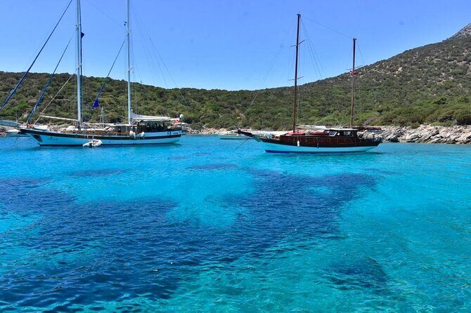 Bodrum Boat Trip with Lunch and All Soft Drinks - What the Reviews Say: Authentic Insights