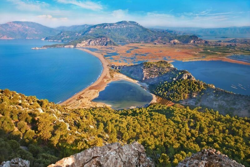 Bodrum: Dalyan Mud Baths & Iztuzu Beach Day Trip with Lunch - What Travelers Say: Real Experiences and Insights