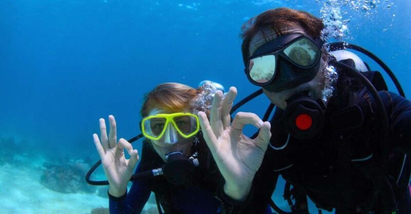 Bodrum: Full-Day Scuba Diving Tour - A Closer Look at the Bodrum Full-Day Scuba Tour