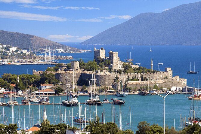 Bodrum Fullday Private Tour with Licenced Guide & Dlx Van - Exploring the Bodrum Fullday Private Tour: What to Expect