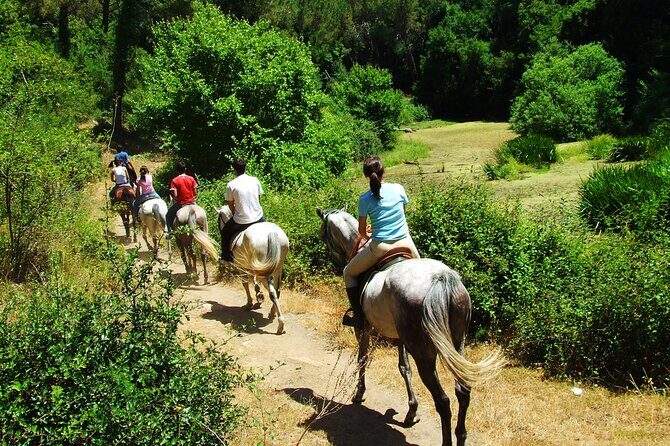 Bodrum Horse Riding Experience w/ Hotel Transfer Service - What to Expect on the Tour