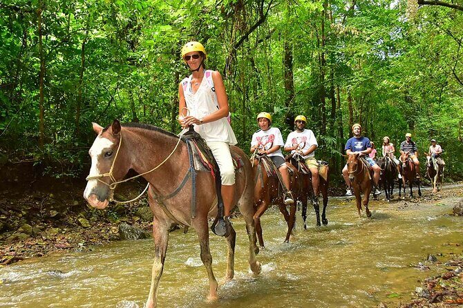 Bodrum Horse Riding Experience w/ Hotel Transfer Service - The Sum Up
