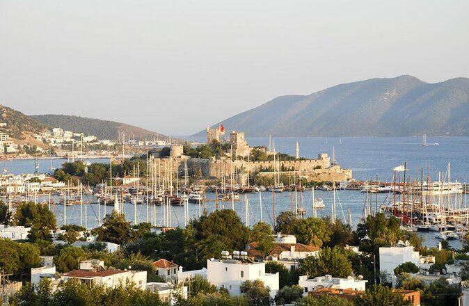Bodrum Horseback Riding Experience with Hotel Transfer - Key Points
