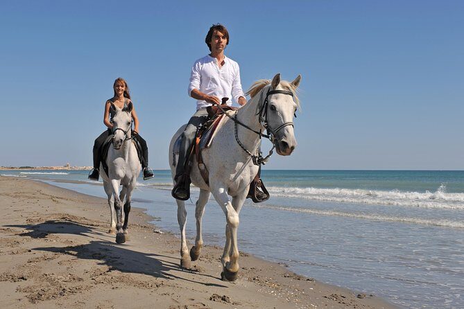Bodrum Horseback Riding Experience with Hotel Transfer - An In-Depth Look at the Bodrum Horseback Ride