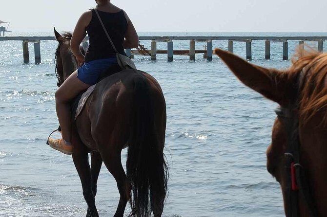 Bodrum Horseback Riding Experience with Hotel Transfer - FAQ