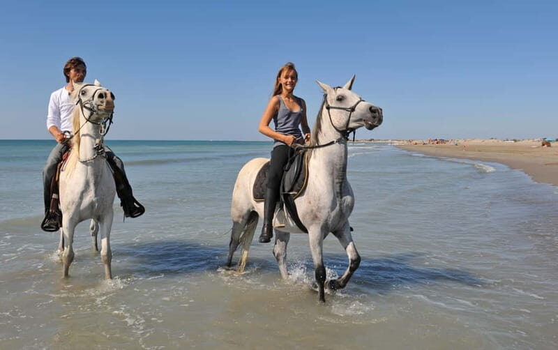Bodrum: Horseback Riding Experience with Hotel Transfer - Key Points