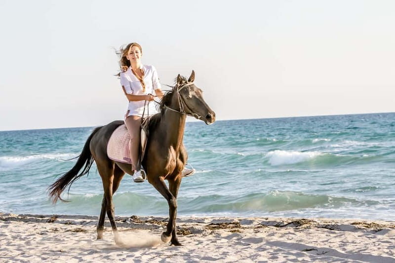 Bodrum: Horseback Riding Experience with Hotel Transfer - An In-Depth Look at the Bodrum Horseback Riding Tour