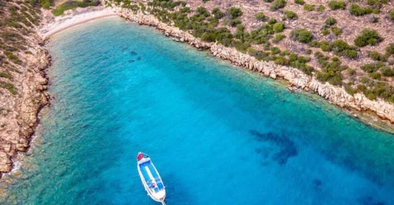 Bodrum Orak Island Boat Cruise with Lunch and Swimming - Who Is This Tour Best For?