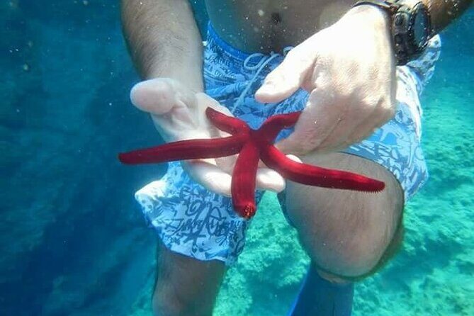 Bodrum Private Gulet Cruise with a Mediterranean Lunch - FAQs