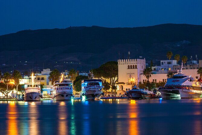 Bodrum Roundtrip Ferry to Kos with Hotel Pickup - Who Is This Trip Best For?